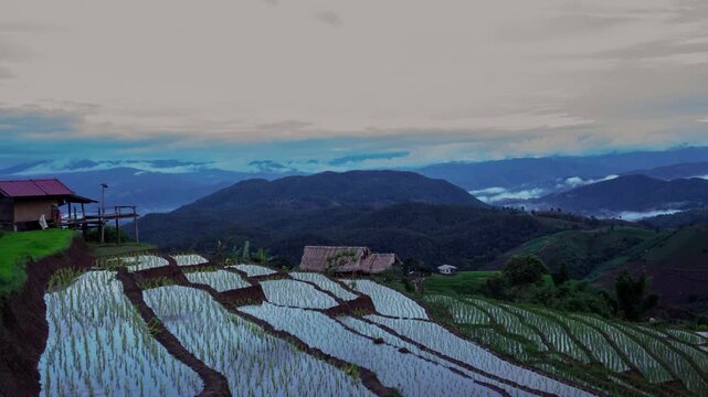 รูปภาพPiang – เลือกดูภาพถ่ายสต็อก เวกเตอร์ และวิดีโอ4,903 | Adobe Stock