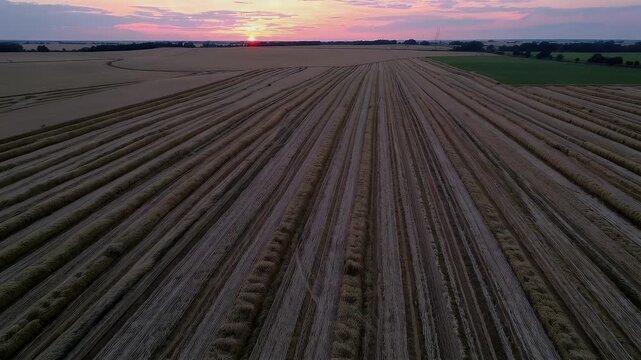 "Wheat Rows" Images – Browse 246 Stock Photos, Vectors, and Video ...