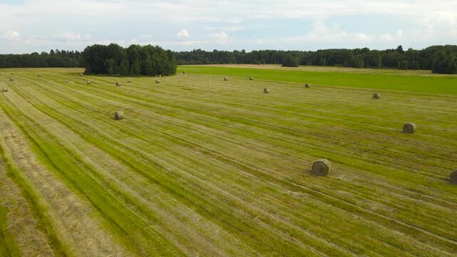 "Hay Rolls" Images – Browse 1,635 Stock Photos, Vectors, and Video ...