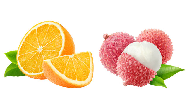 "Orange Illustration" Images – Browse 4,409 Stock Photos, Vectors, and ...