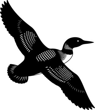 flying loon drawing