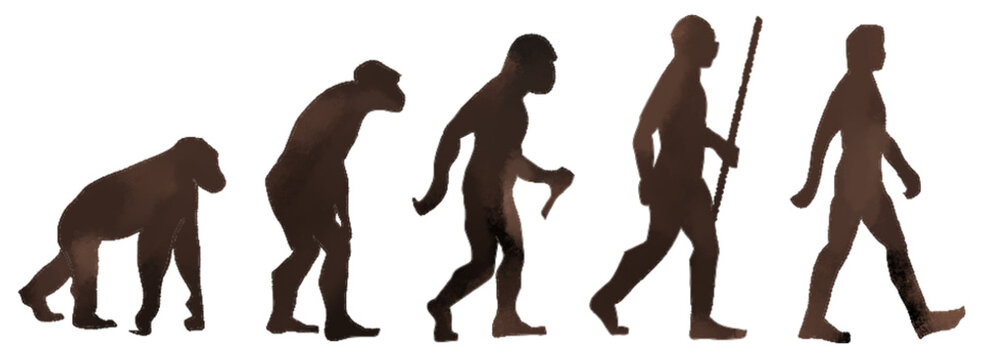 Anthropology Images – Browse 48,935 Stock Photos, Vectors, and Video ...
