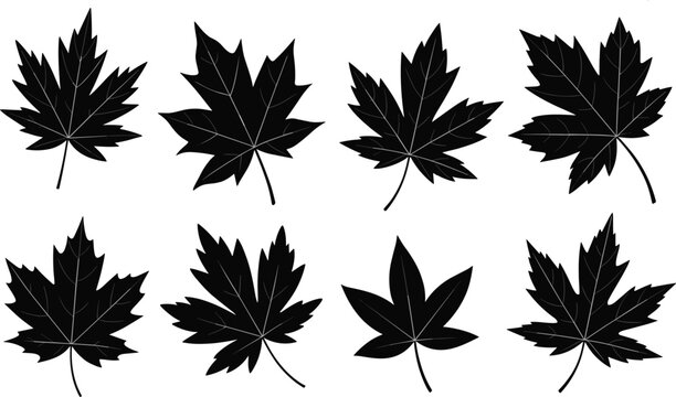 fall tree outline drawing