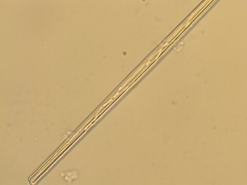 50x Objective Images – HD & 4K Photos Free to Download | PikWizard