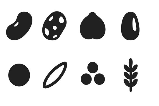 "Pinto Bean" Images – Browse 2,195 Stock Photos, Vectors, and Video ...