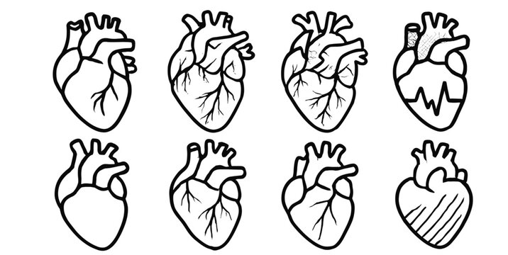 Anatomical Heart Outline Images – Browse 7,804 Stock Photos, Vectors ...