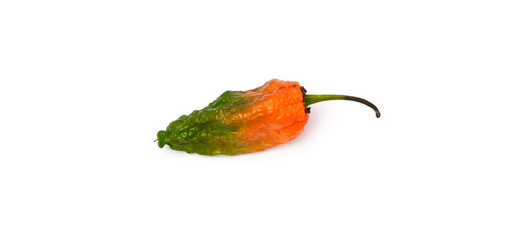 Bhut Images – Browse 1,096 Stock Photos, Vectors, and Video | Adobe Stock