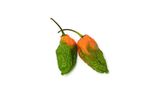 Bhut Images – Browse 1,096 Stock Photos, Vectors, and Video | Adobe Stock