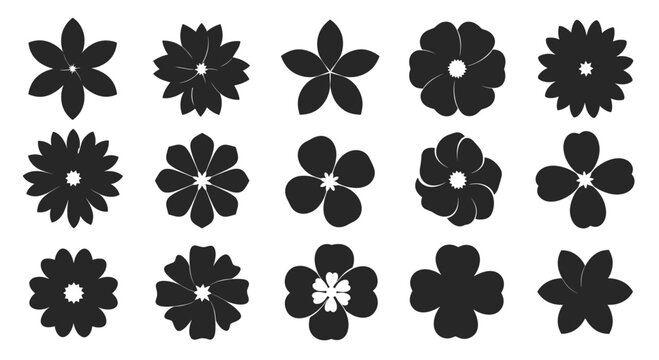 five petal flower shape