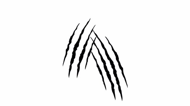 claw scratch animation