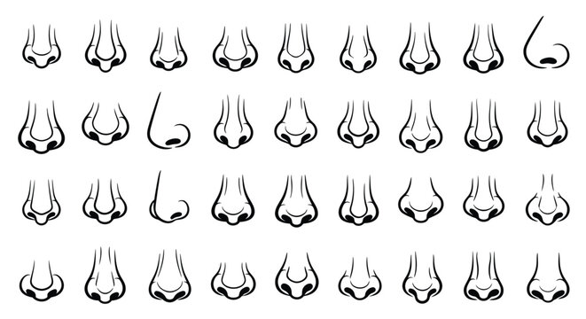 cartoon noses reference