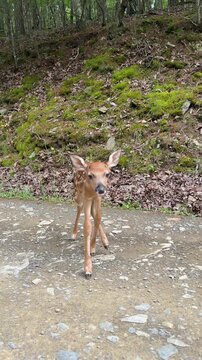 walking around gingerly