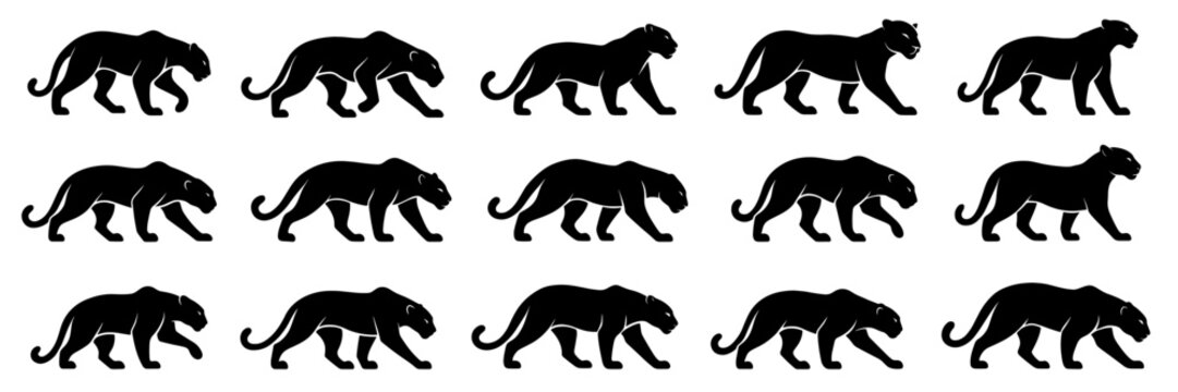 Stalking Images – Browse 7,164,873 Stock Photos, Vectors, and Video ...