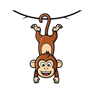 monkey standing upside down