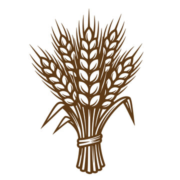 wheat bundle vector