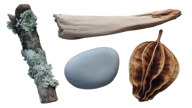 Natural Objects