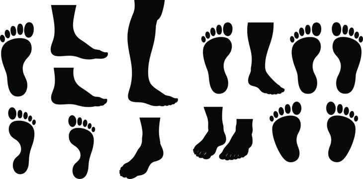 "Human Footprint" Images – Browse 1,832 Stock Photos, Vectors, and ...